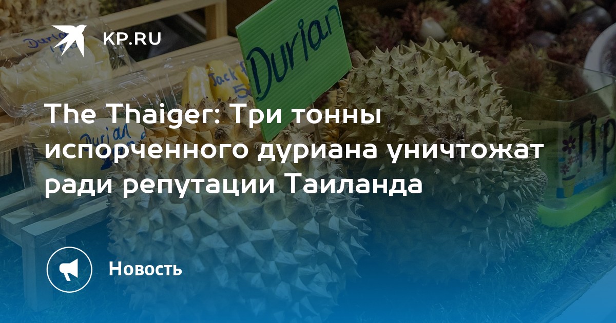 The Thaiger: Три тонны испорченного дуриана уничтожат ради репутации Таиланда - KP.RU